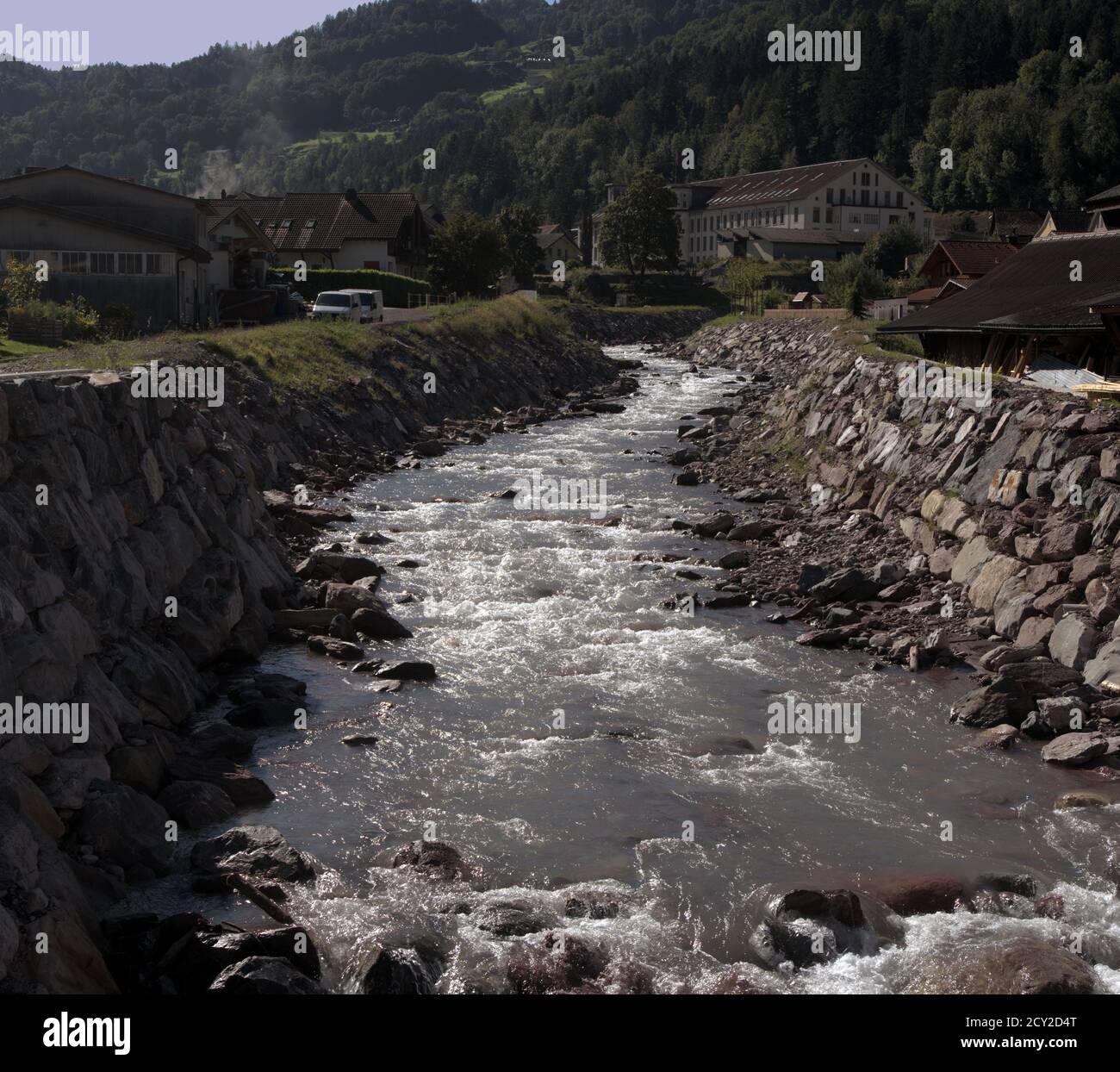 Schils hi-res stock photography and images - Alamy