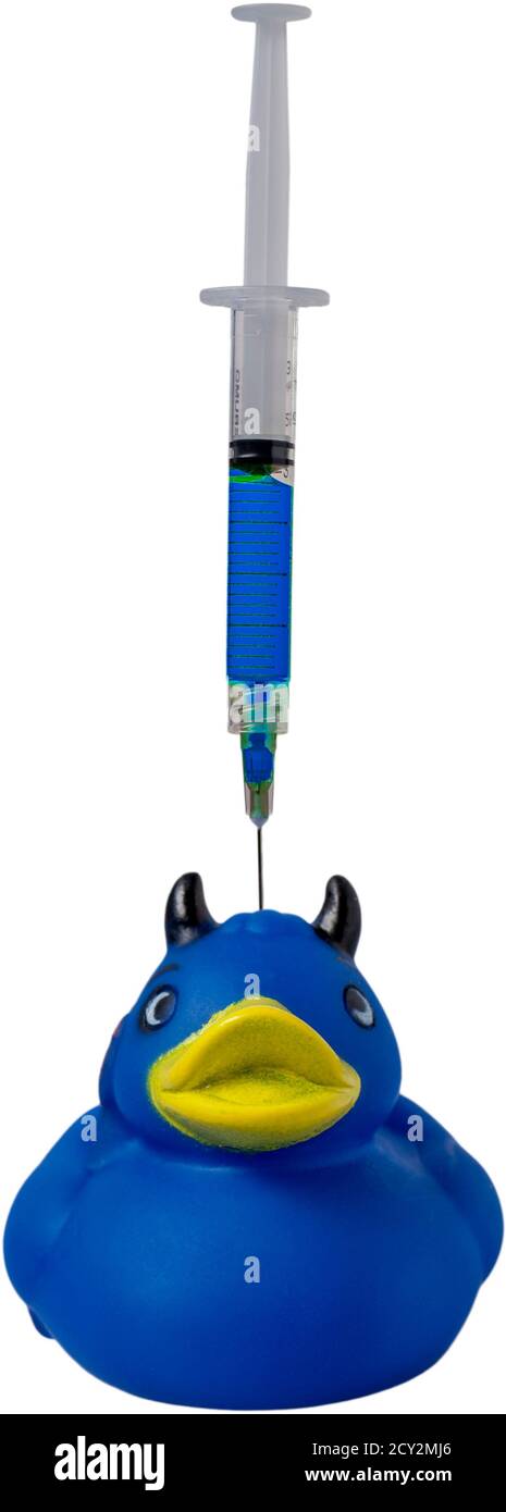 Colored rubber ducky shows how it gets its color. Studio image. Mar 11 ...