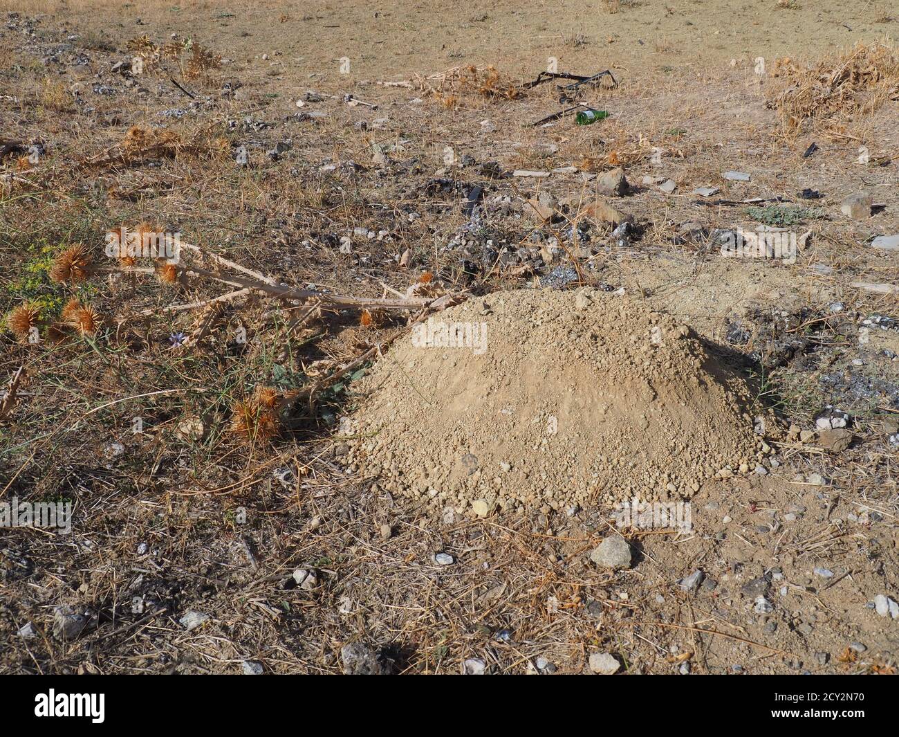 Soil grass lump hi-res stock photography and images - Alamy