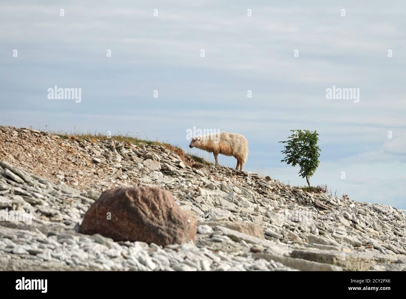 Rock and beautiful landscape hi-res stock photography and images - Alamy