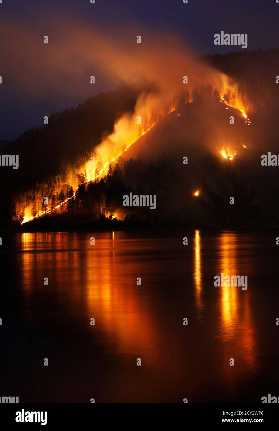 2011 taiga hi-res stock photography and images - Alamy