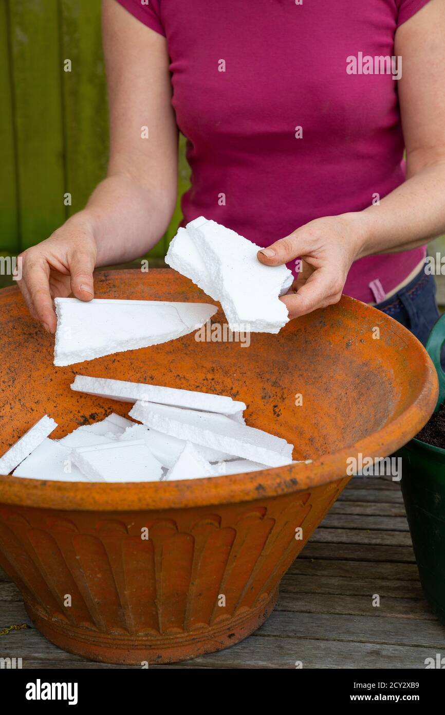 Adding polystyrene to terracotta container to help with drainage Stock ...