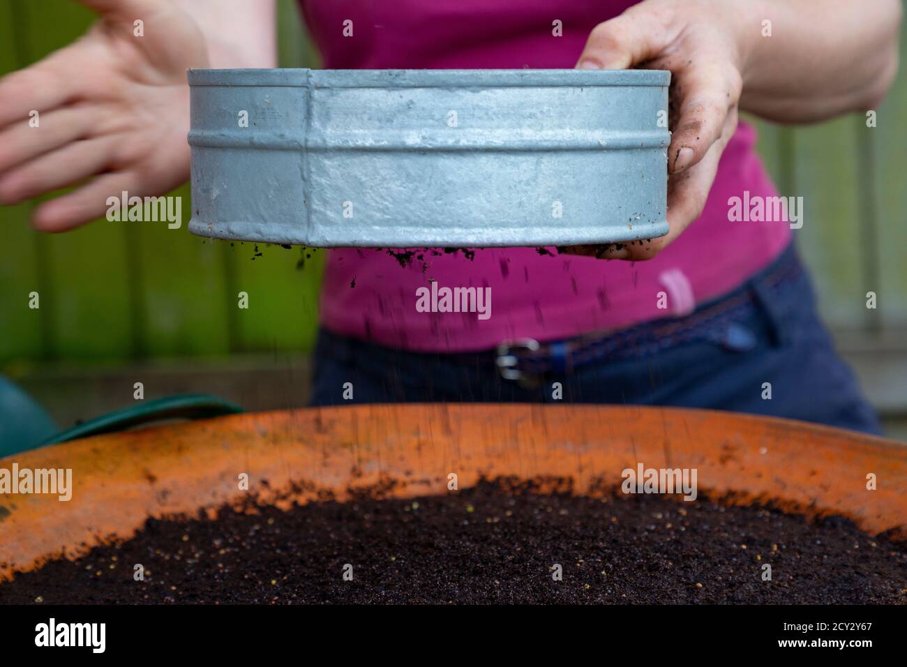 Garden sieve seeds hi-res stock photography and images - Alamy