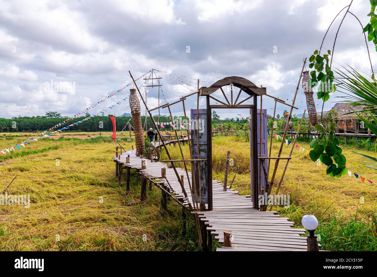 Pattalung, Thailand -Feb 02, 2020 : Way rural style with rice field and ...