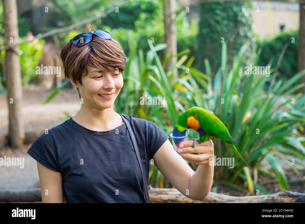 Visiting a safari hi-res stock photography and images - Alamy