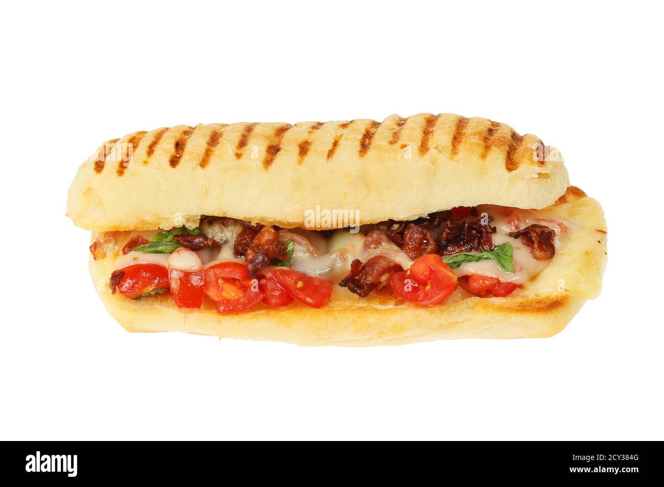 Tomato, pancetta, basil and melted cheese panini isolated against white ...
