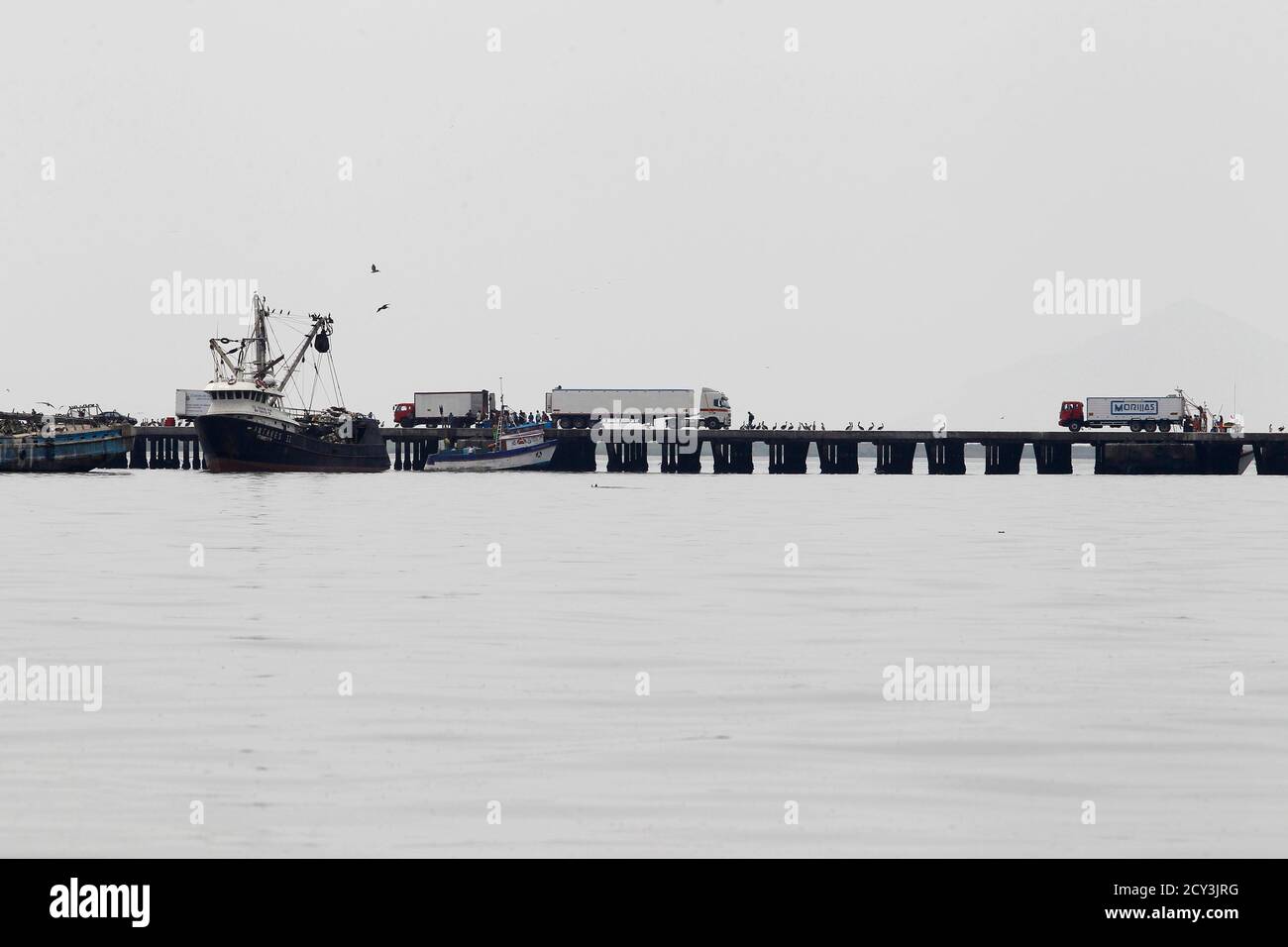 Load Pigs High Resolution Stock Photography and Images - Alamy