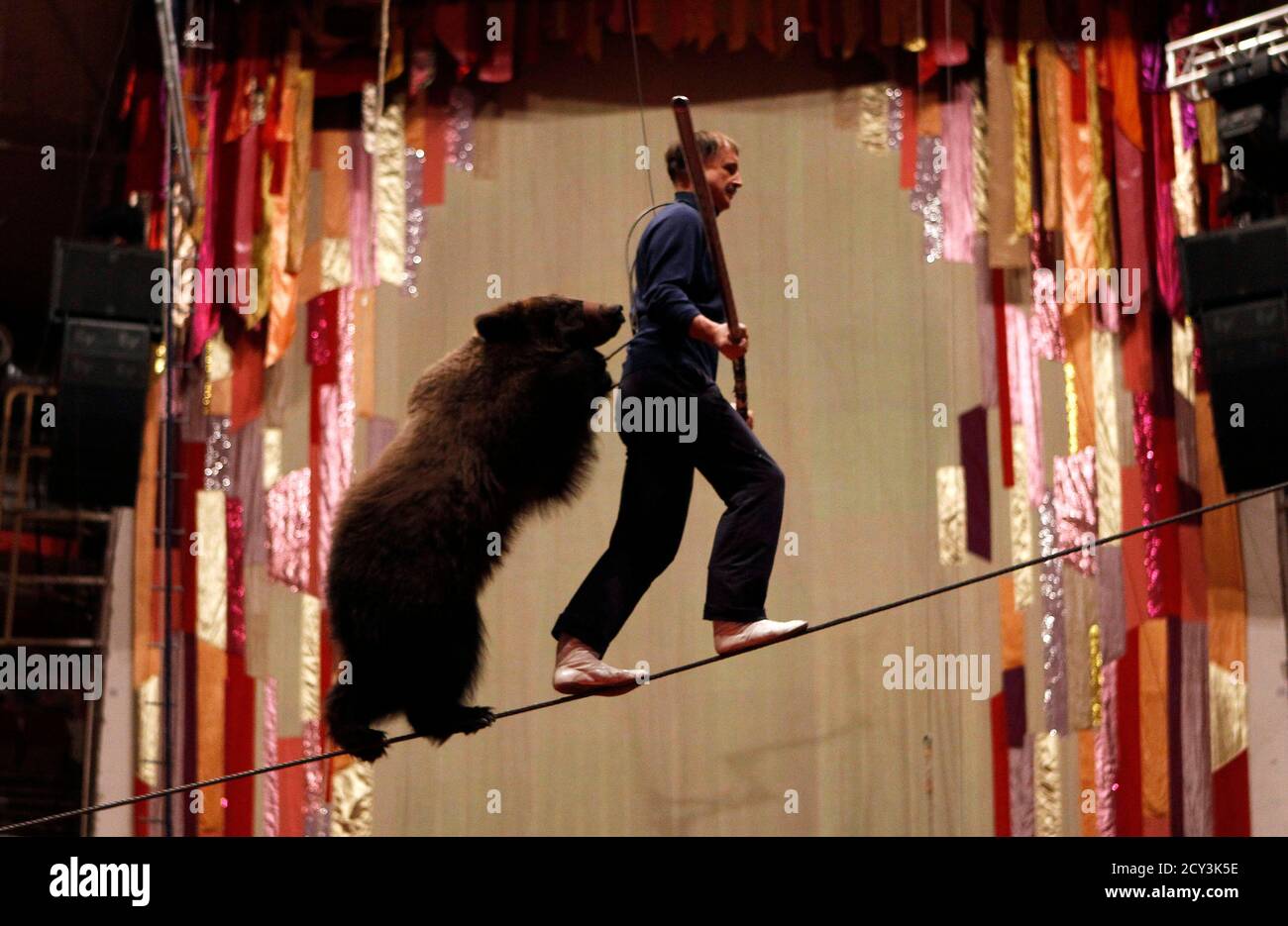 Circus animals on tight rope High Resolution Stock Photography and ...