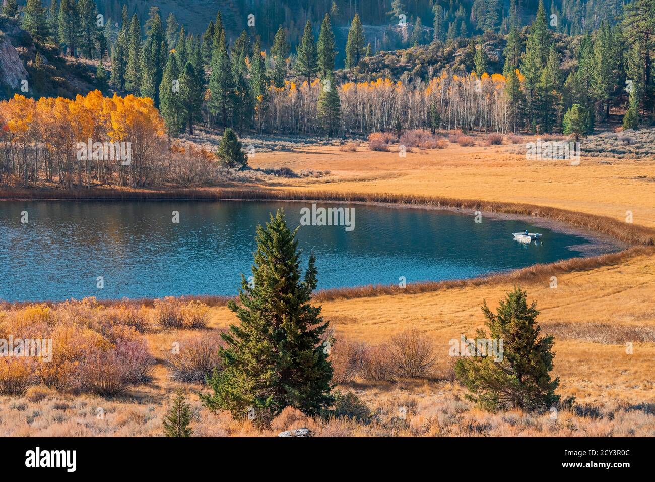 June lake loop hi-res stock photography and images - Alamy