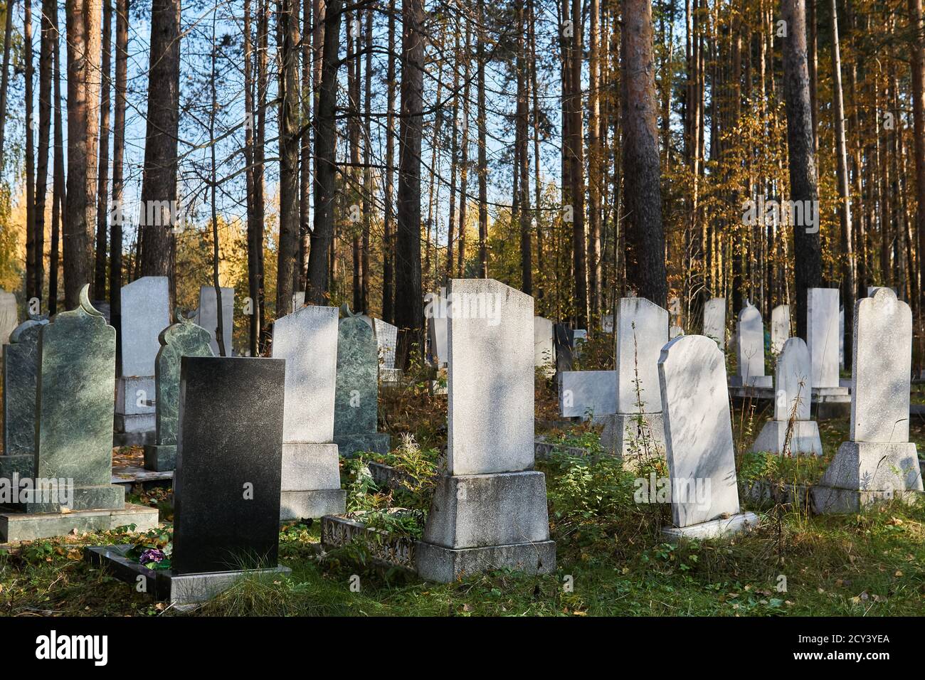 old autumn cemetery with stone gravestones under the pine trees Stock ...