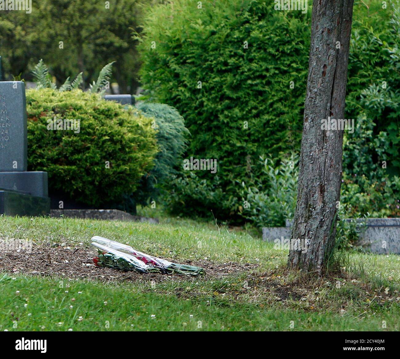 Hitlers deputy rudolf hess hi-res stock photography and images - Alamy