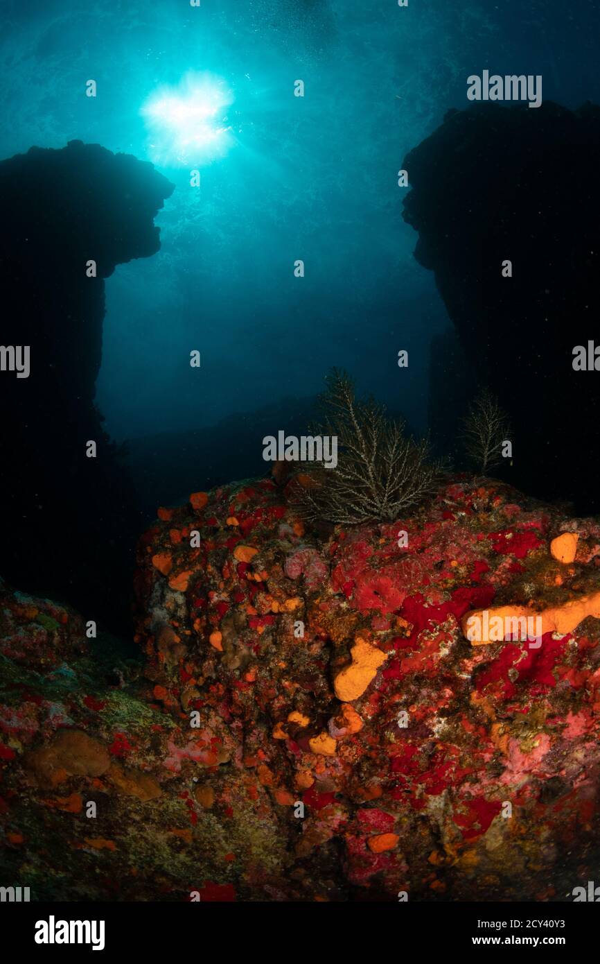 Moonpool hi-res stock photography and images - Alamy