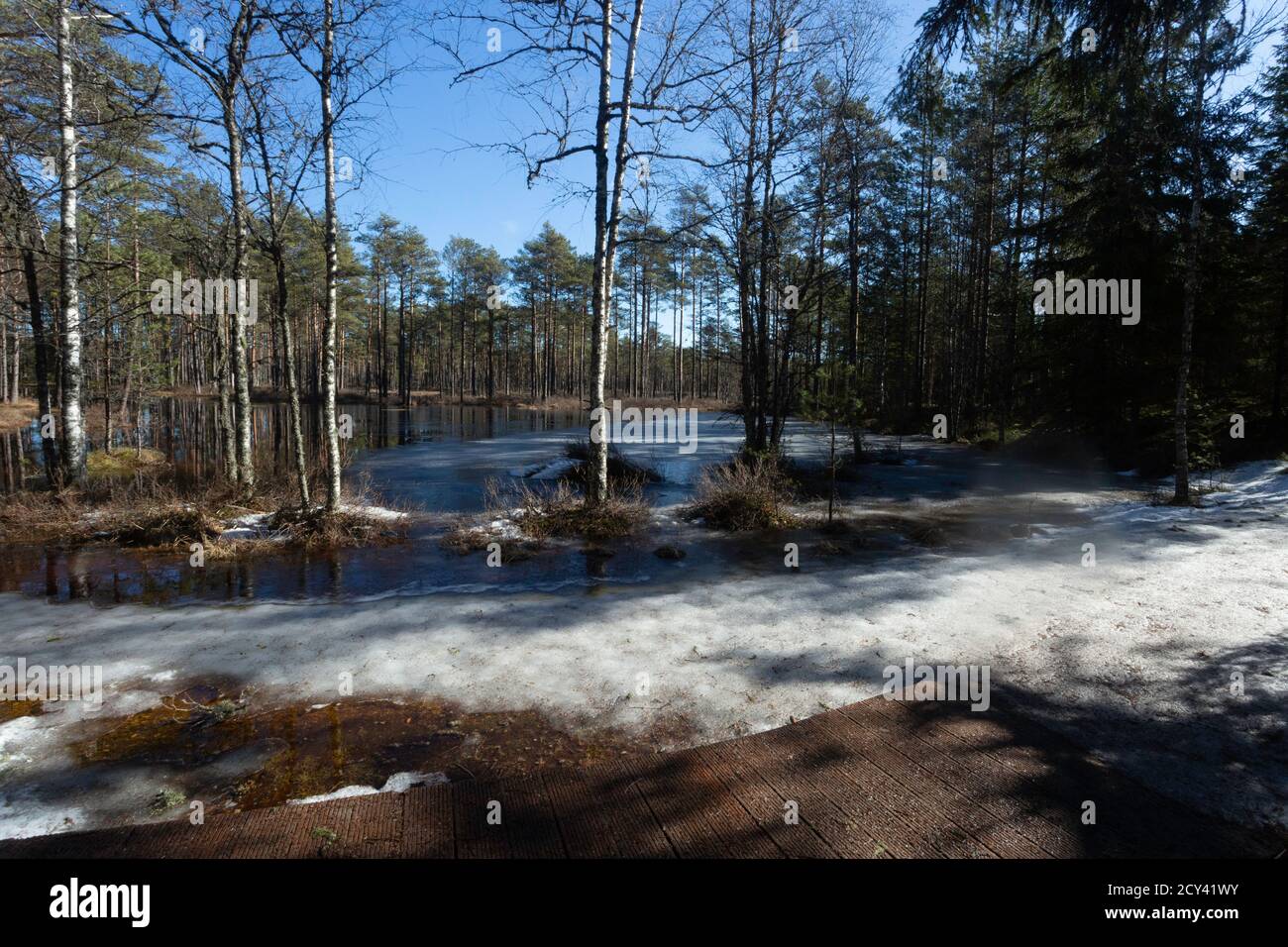 Winter ending. Estonia, Lahemaa National Park. Former Soviet ANtional ...