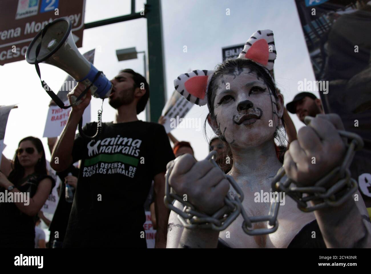 Ringling brothers circus arena hi-res stock photography and images - Alamy