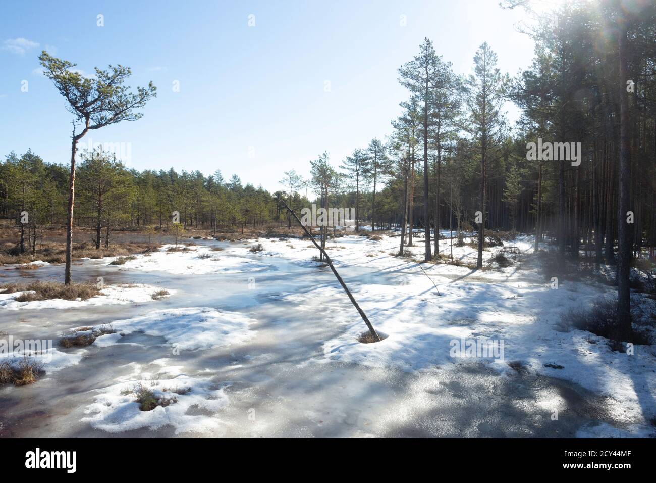 Winter ending. Estonia, Lahemaa National Park. Former Soviet ANtional ...