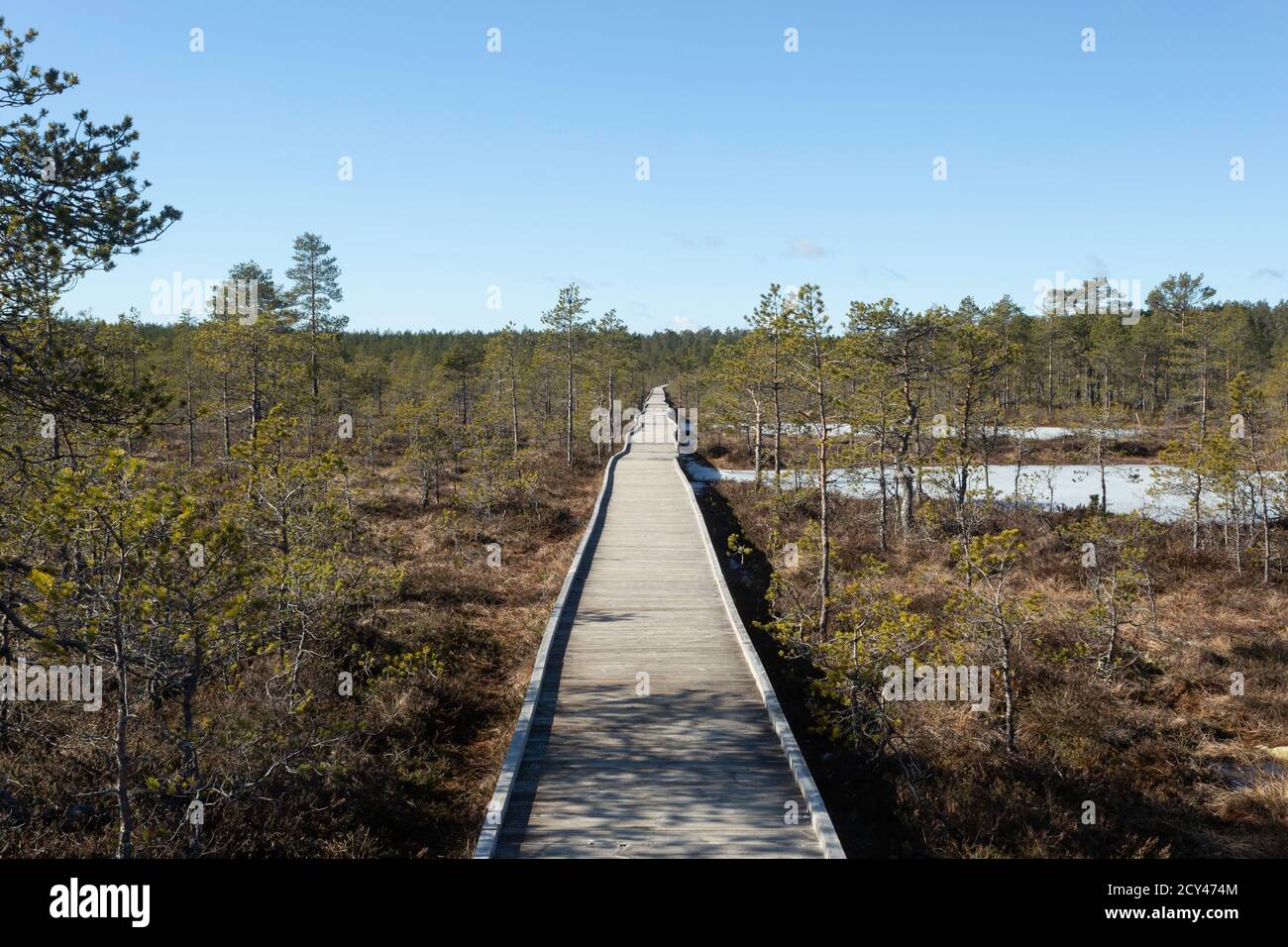 Winter ending. Estonia, Lahemaa National Park. Former Soviet ANtional ...