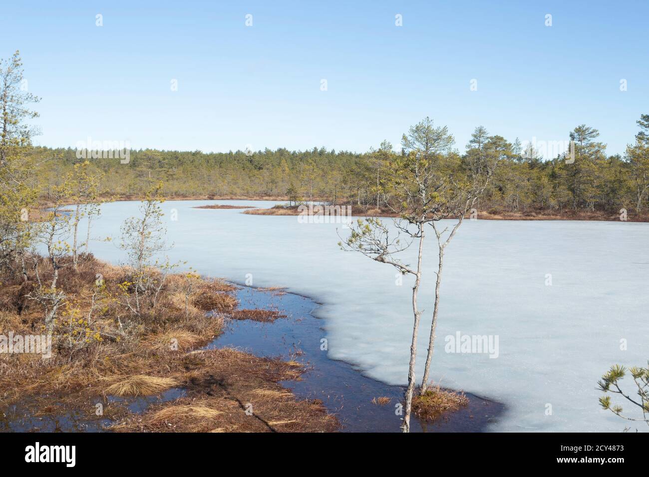 Winter ending. Estonia, Lahemaa National Park. Former Soviet ANtional ...