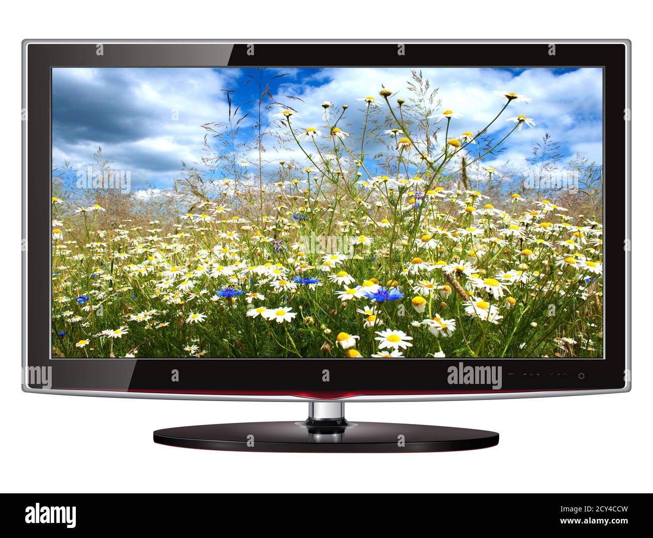 TV flat screen lcd, plasma with wild flowers on screen Stock Photo - Alamy