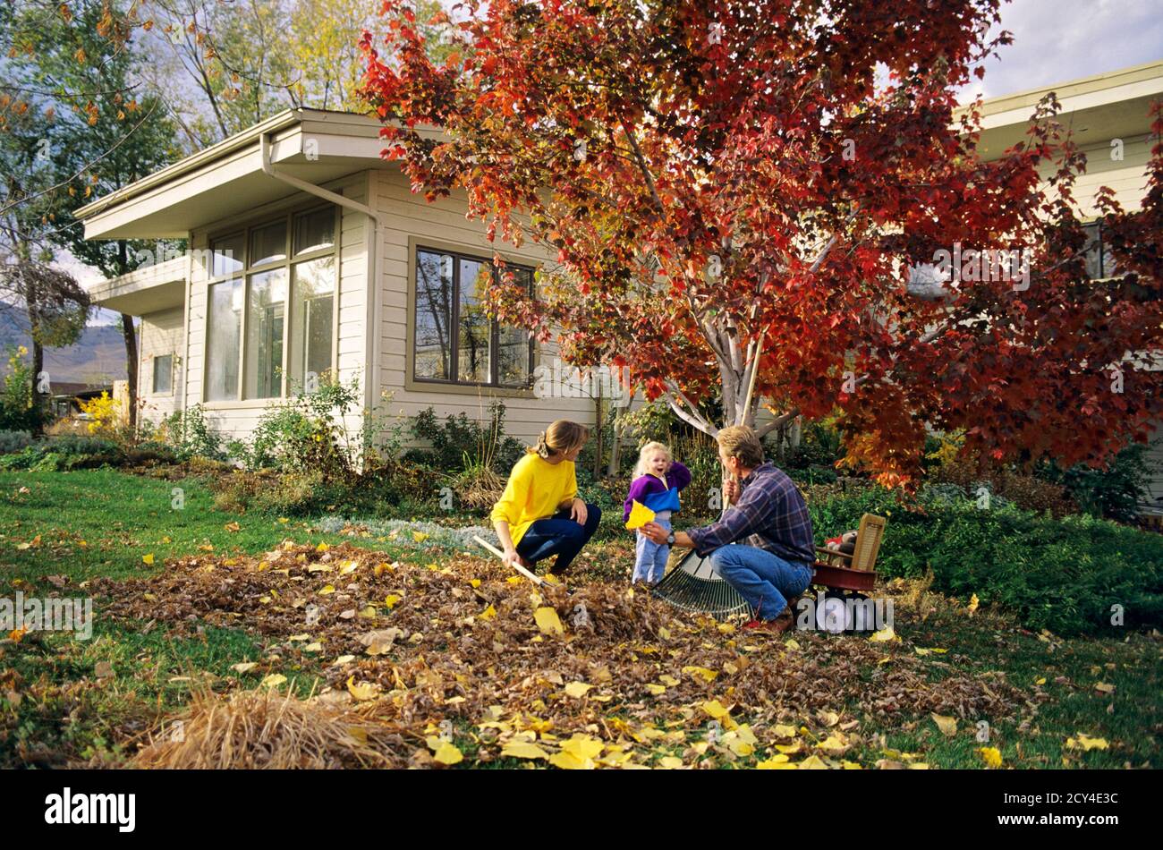 Child raking leaves parent hi-res stock photography and images - Alamy