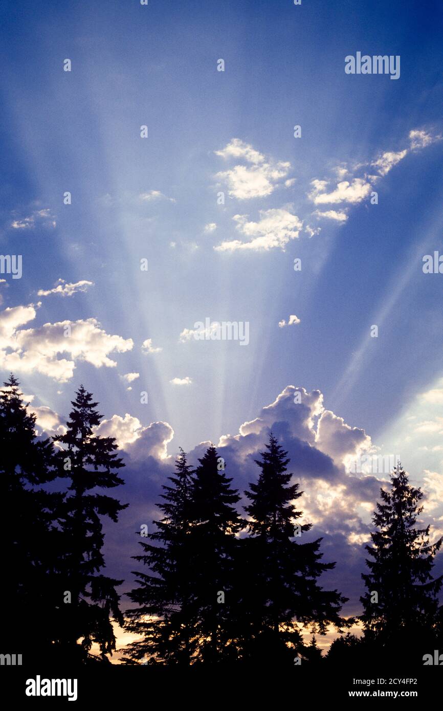 1990s BRILLIANT SUNRISE SUNBURST GODLIKE SUN RAYS BEHIND SILHOUETTED ...