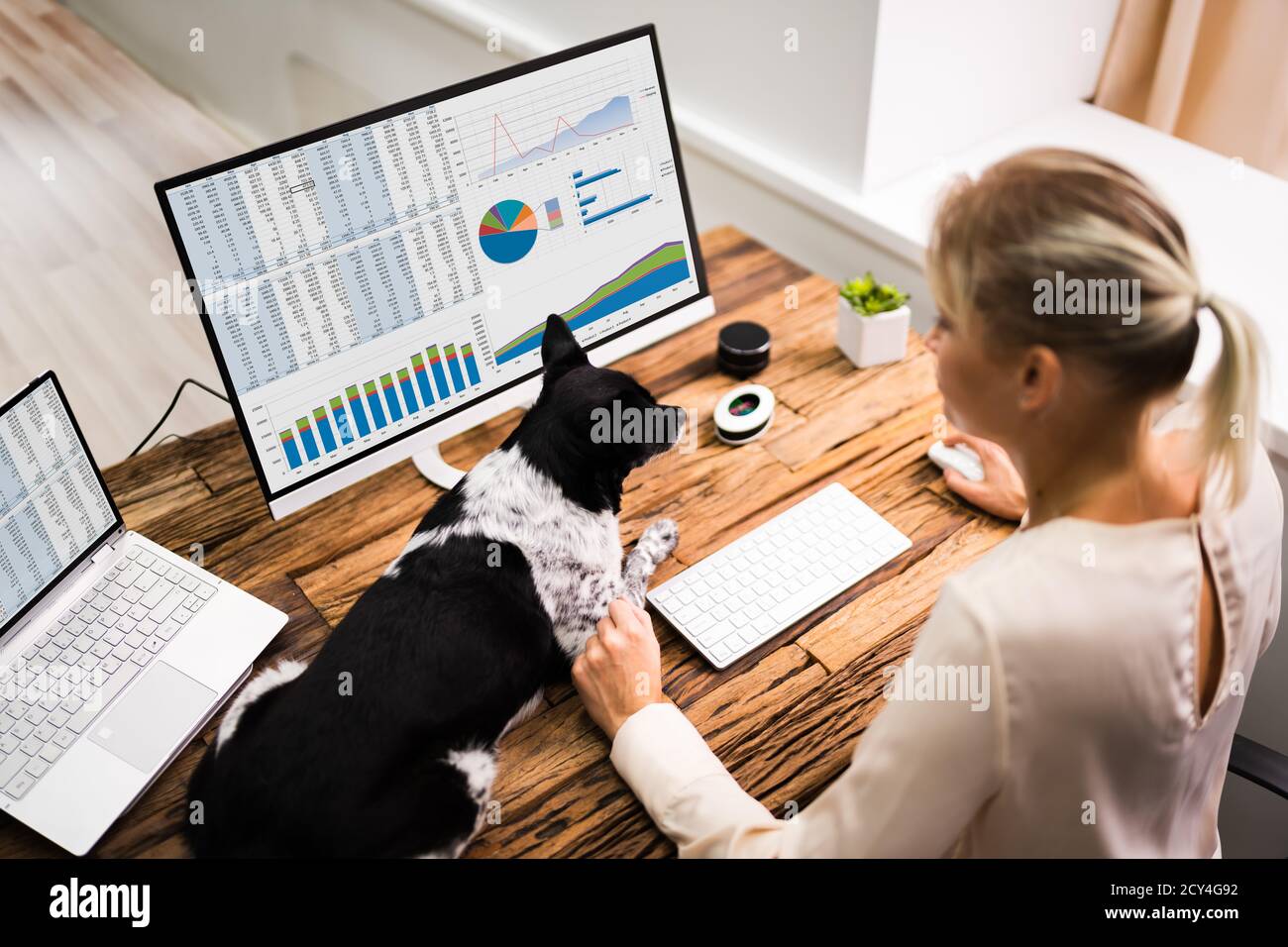 Analyst Woman Working With Spreadsheet Data On Desktop Computer Stock ...
