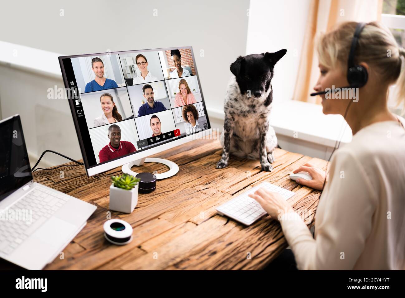 Video Conference Webinar Call With Dog. Online Work Meeting Stock Photo ...