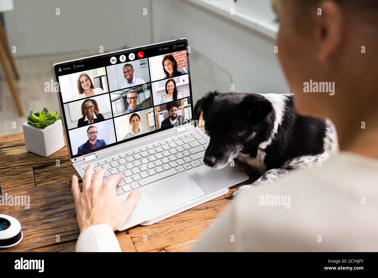 Work dog hi-res stock photography and images - Alamy