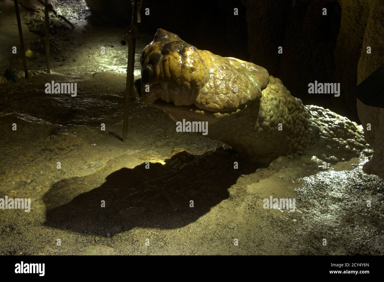 Phallic calcite formation in the Höllgrotten caves of Baar in ...