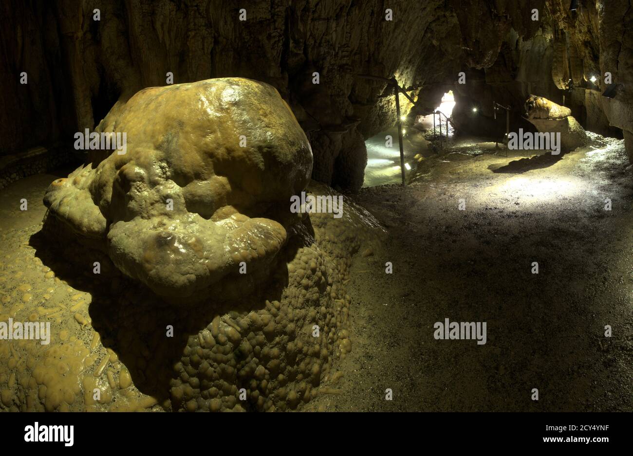 Domed "turtle" calcite formation in the Höllgrotten caves of Baar ...