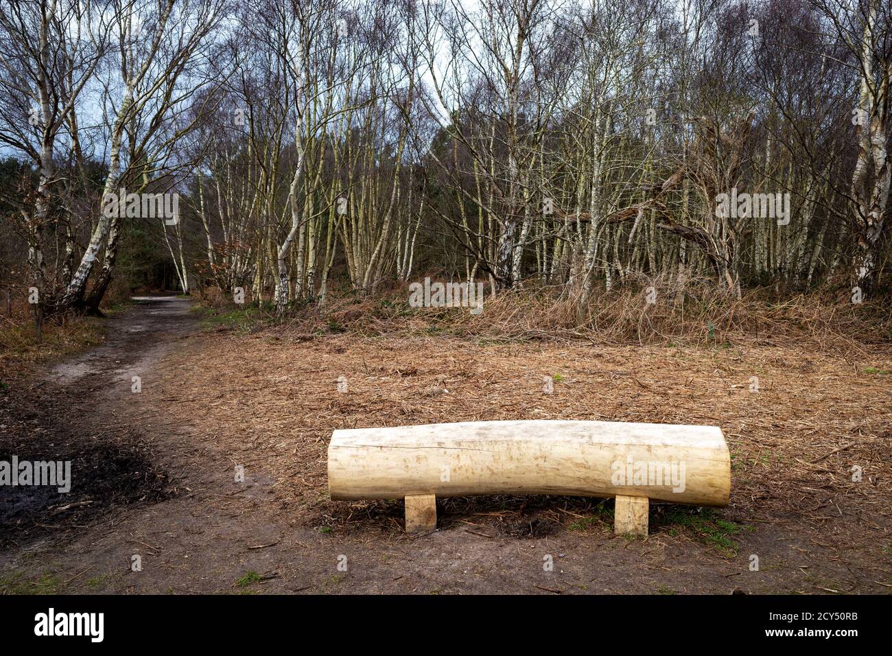 Wooden seat Sutton Heath Suffolk England Stock Photo - Alamy