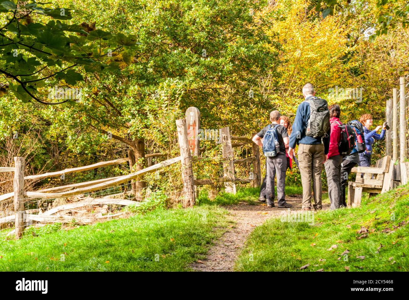Wilberforce tree hi-res stock photography and images - Alamy