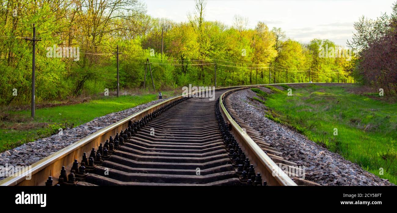 Tracks nature hi-res stock photography and images - Alamy