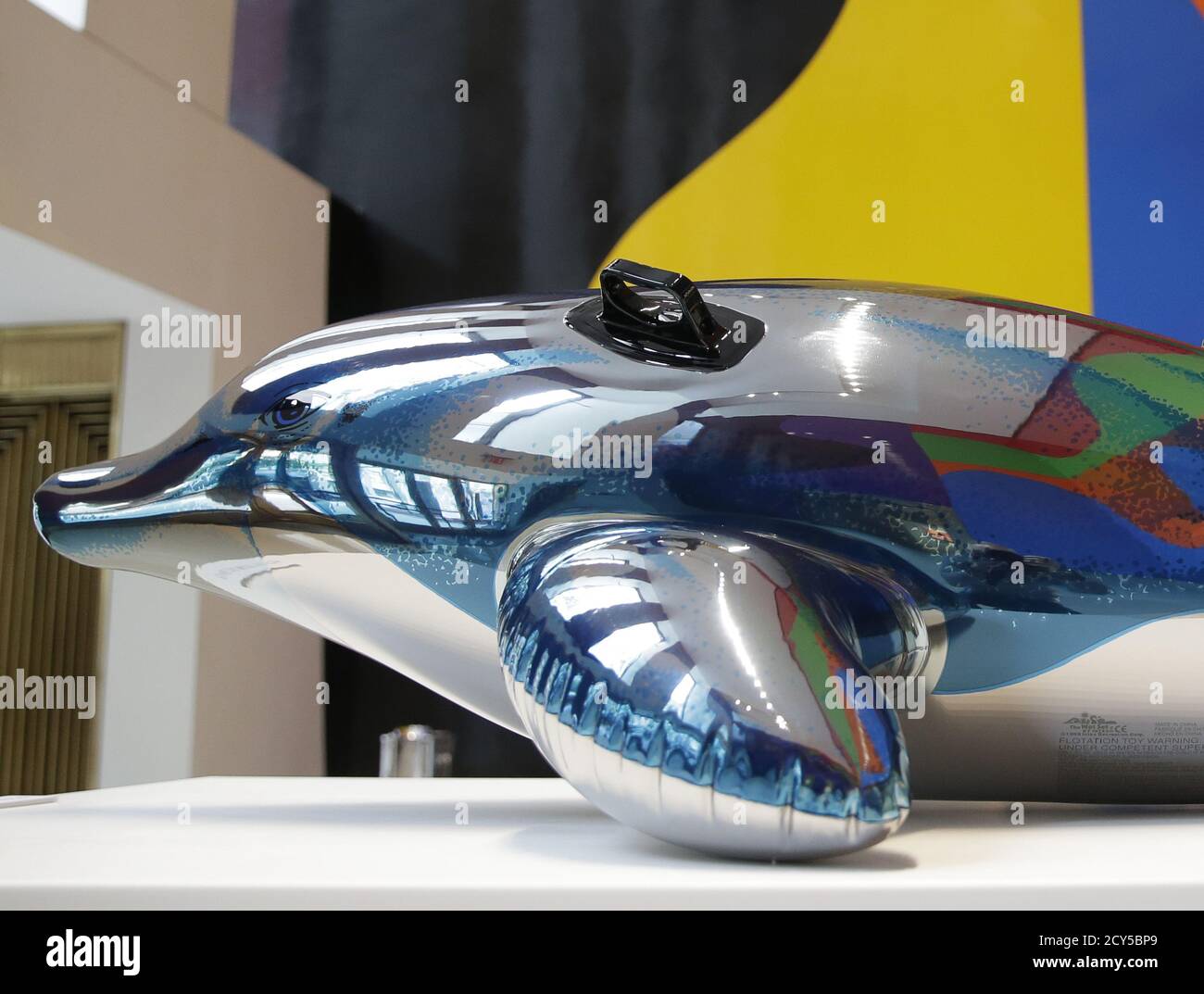 Dolphin bones hi-res stock photography and images - Alamy