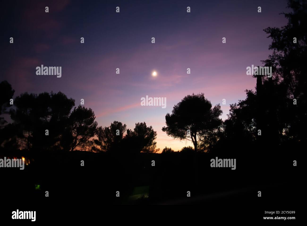 Full moon dusk pine hi-res stock photography and images - Alamy