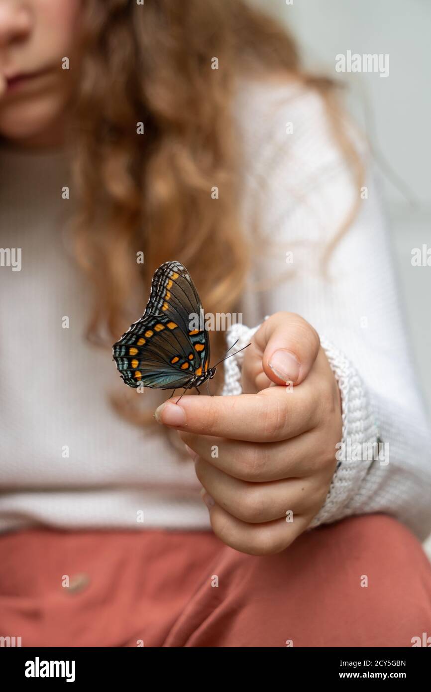 Girl with butterfly on her finger hi-res stock photography and images ...