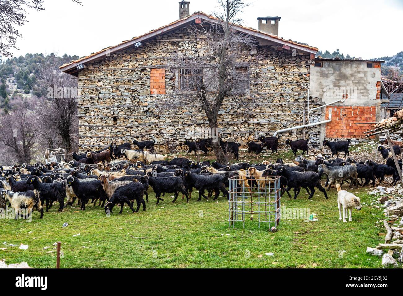 Original buildings reflecting traditional Ottoman architecture in ...