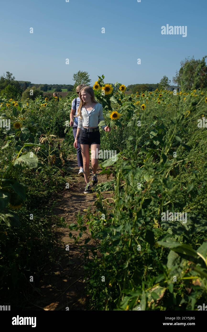 Pick own flowers hi-res stock photography and images - Alamy