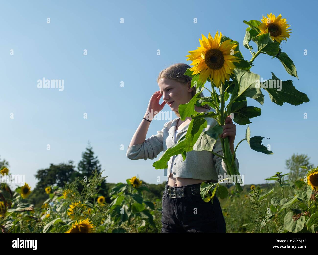 Pick own flowers hi-res stock photography and images - Alamy