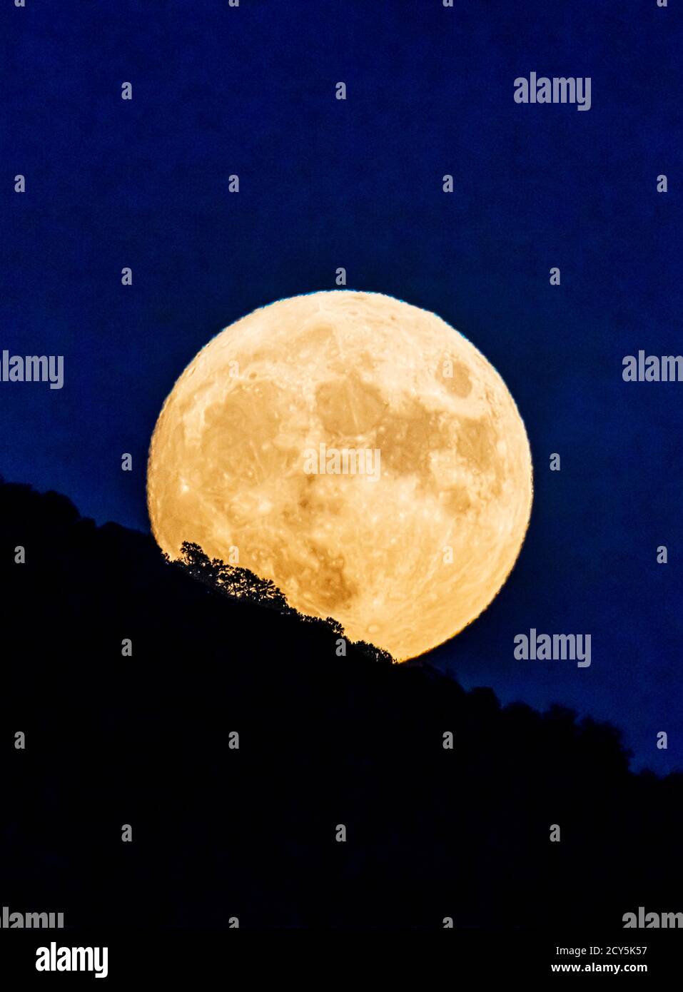 Full Moon; the Harvest Moon; rising over central Colorado; USA Stock ...