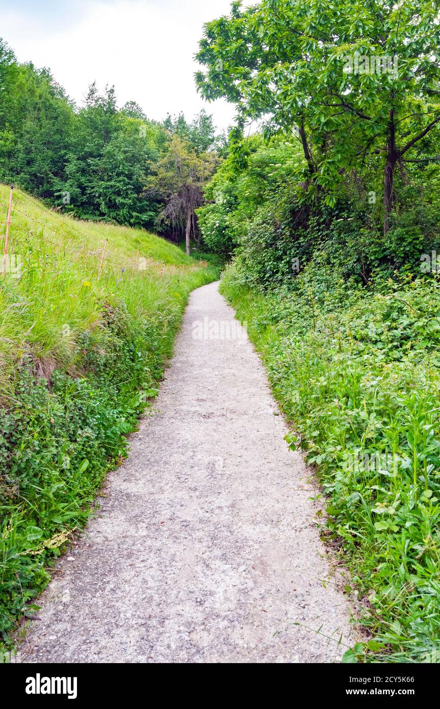 Path to Santuario della Madonna della Ceriola on Monte Isola, Lago d ...