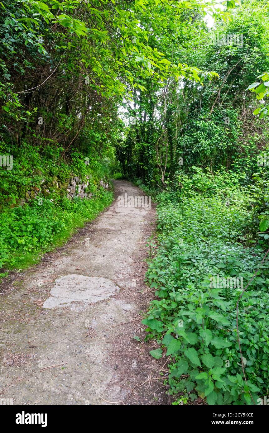 Path to Santuario della Madonna della Ceriola on Monte Isola, Lago d ...