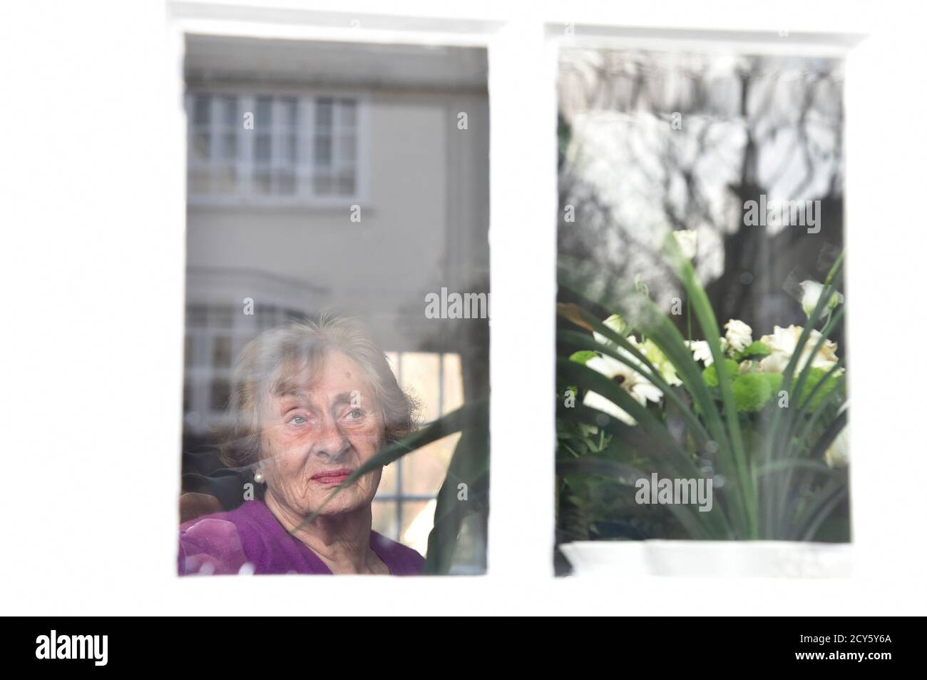 Survivor auschwitz Cut Out Stock Images & Pictures - Alamy