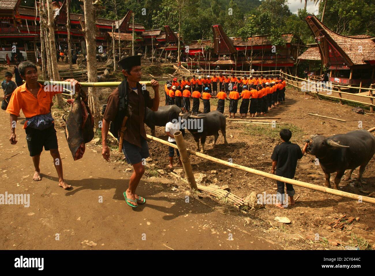 Rambu Solo High Resolution Stock Photography and Images - Alamy