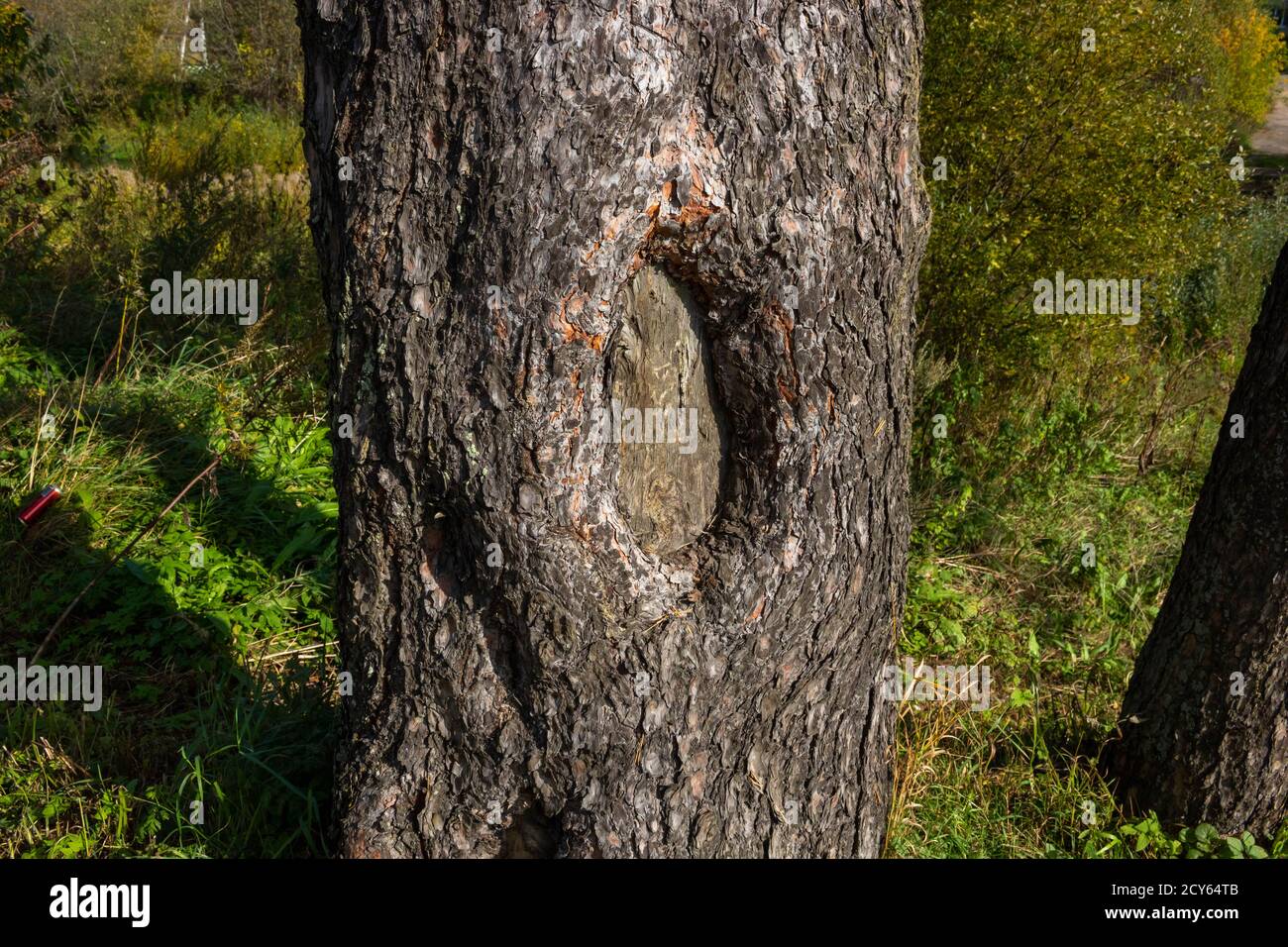 Hollow tile hi-res stock photography and images - Alamy
