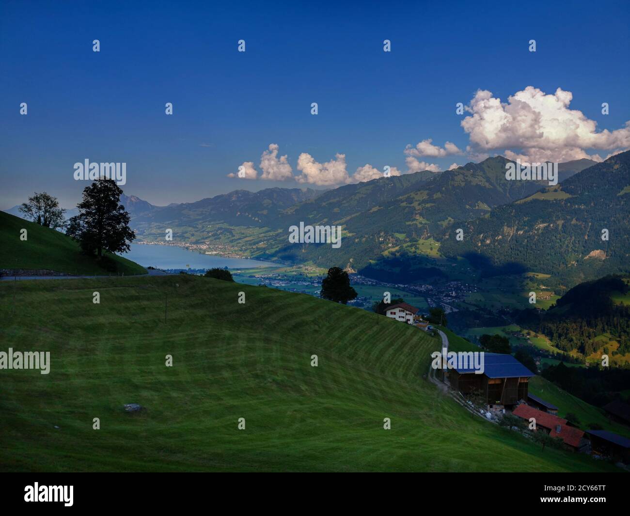 Switzerland nature biodiversity hi-res stock photography and images - Alamy
