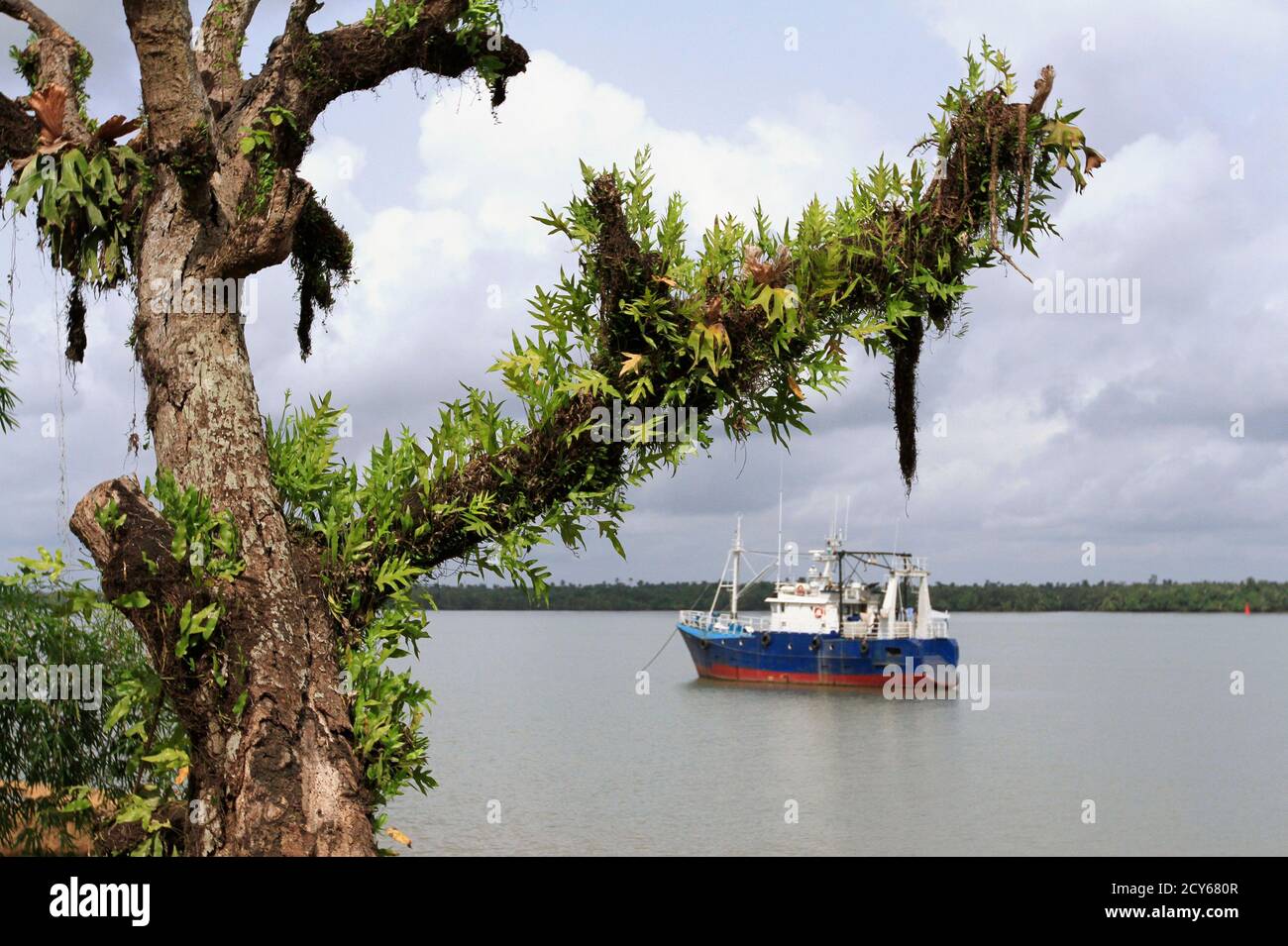 Calabar river hi-res stock photography and images - Alamy