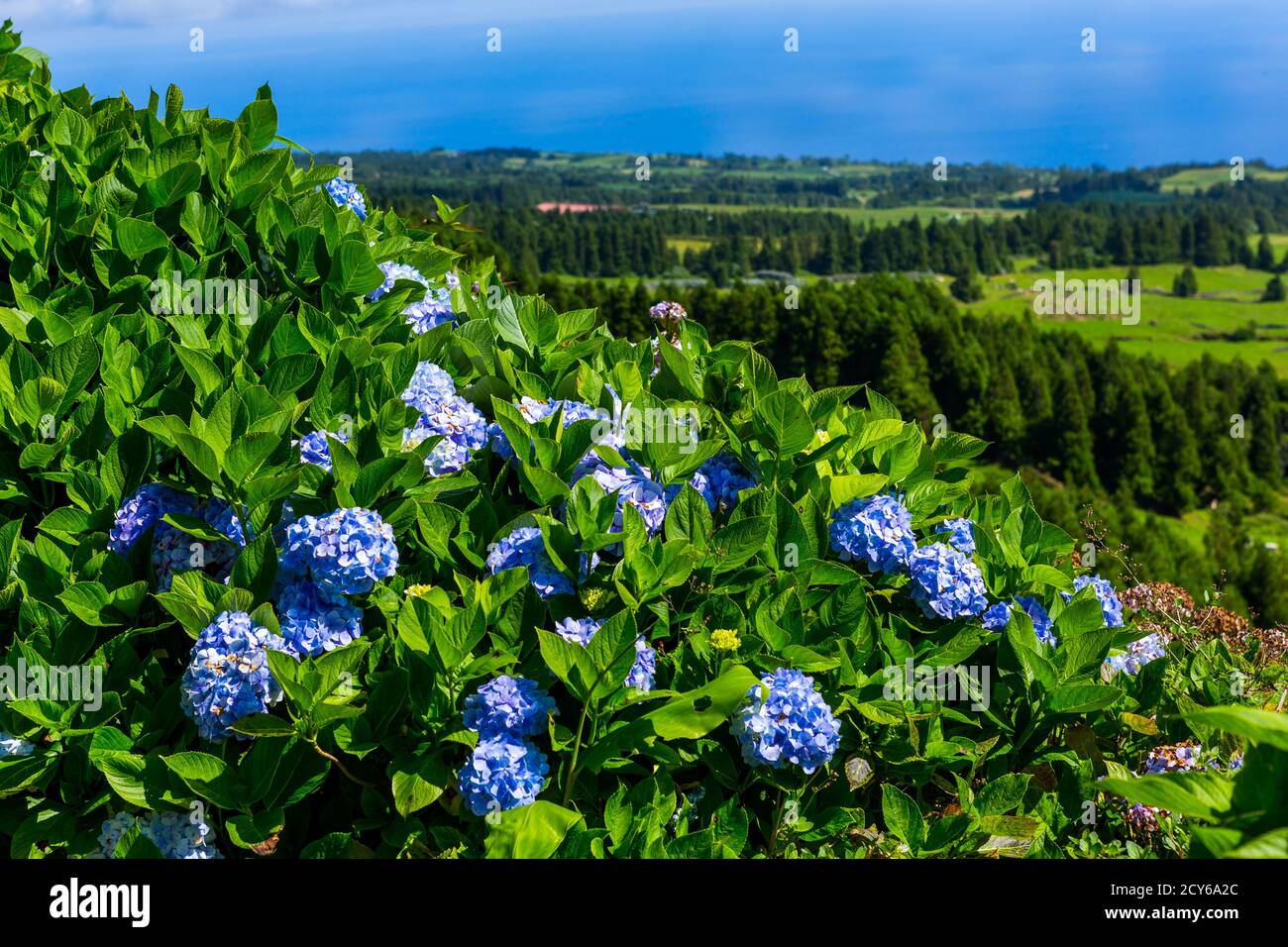 Beautiful landscape sceneries in Azores Portugal. Tropical nature in ...