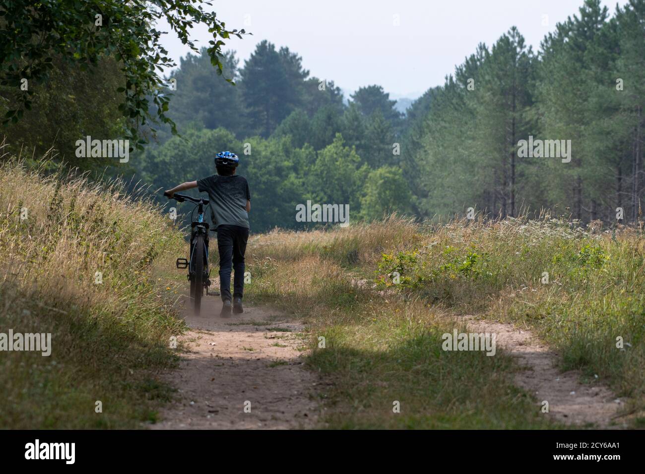 Boy pushing bike along forest track Stock Photo - Alamy