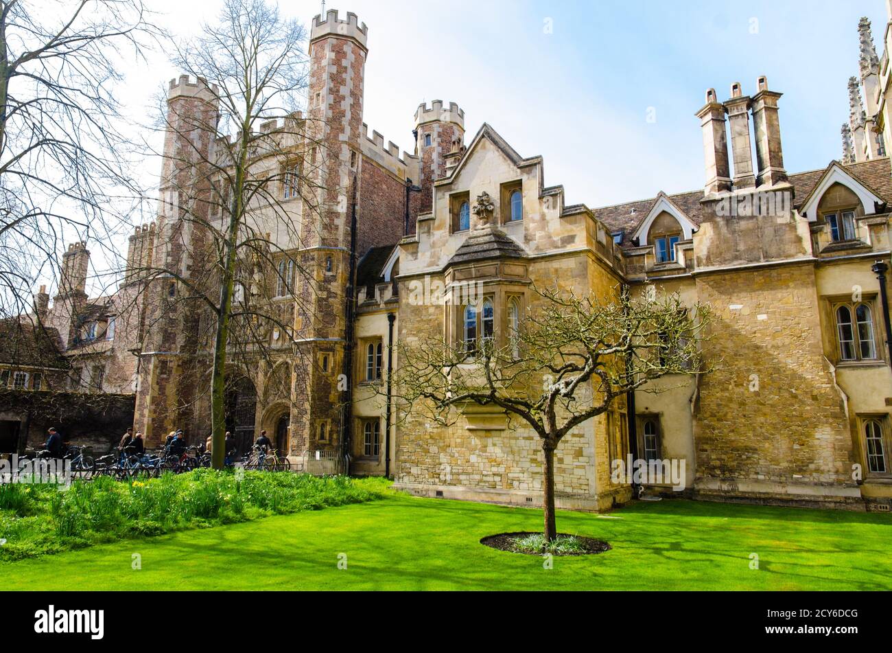 Isaac newton apple tree hi-res stock photography and images - Alamy