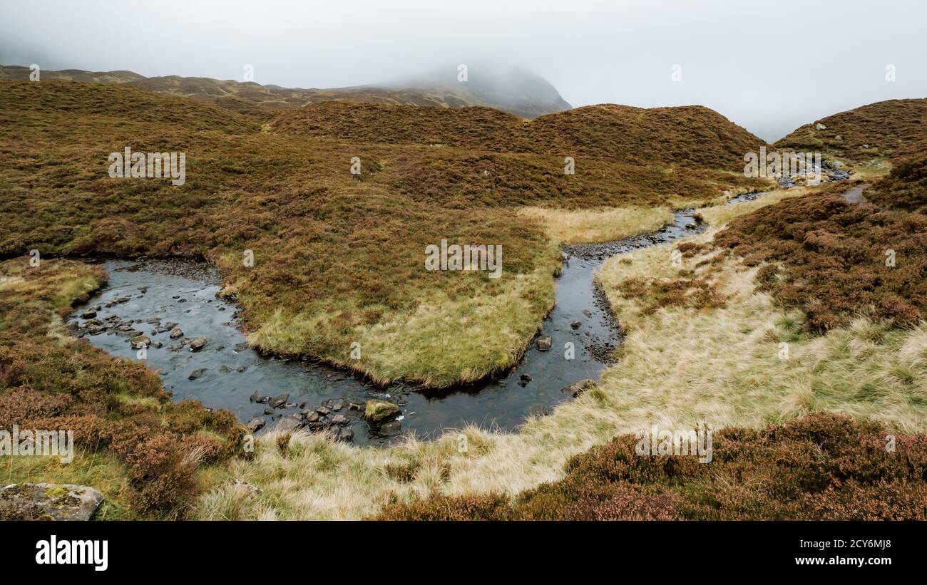 Mare's tail nature reserve hi-res stock photography and images - Alamy